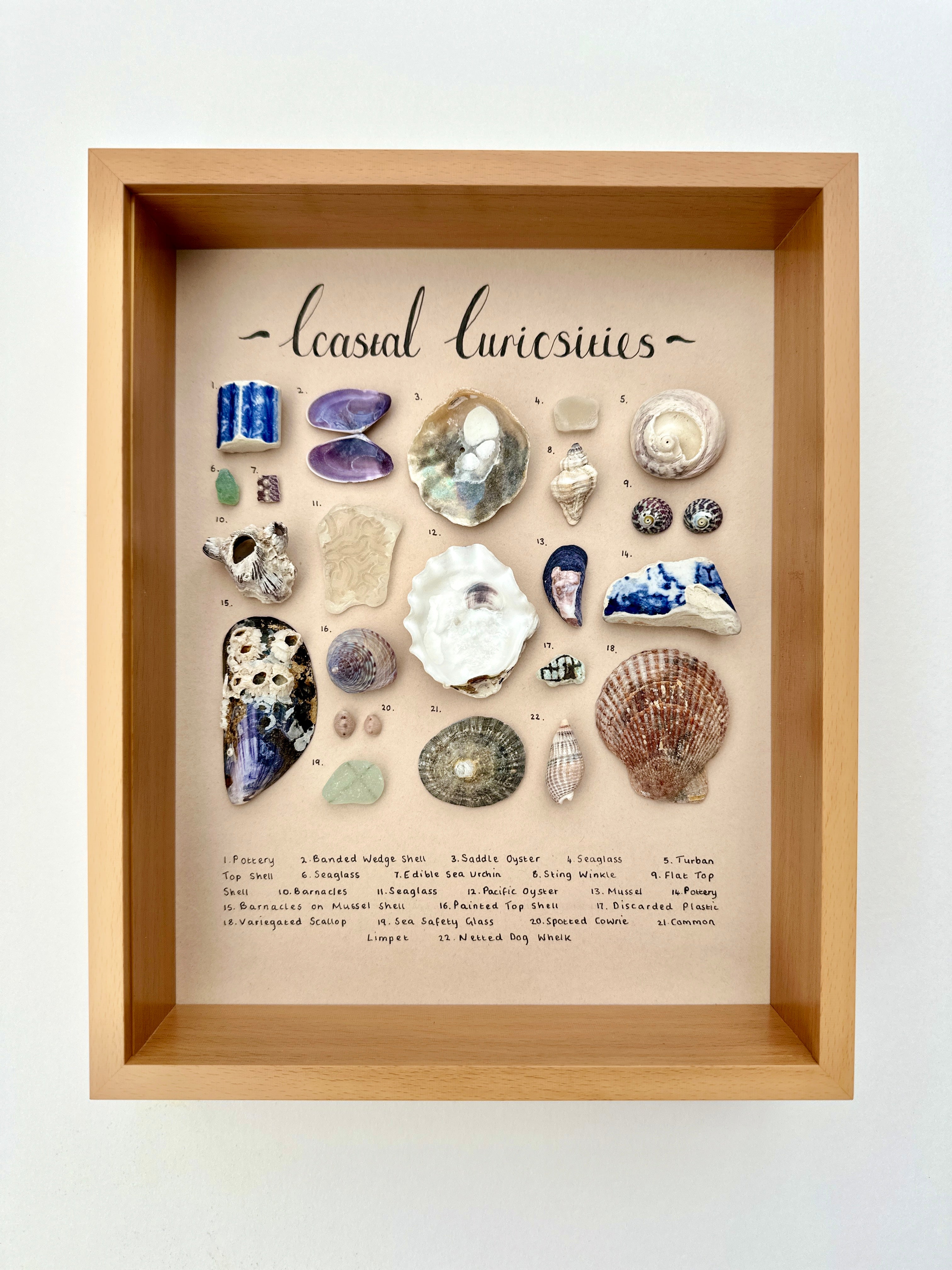 Medium Curiosity Frame – Sophie Wright Designs