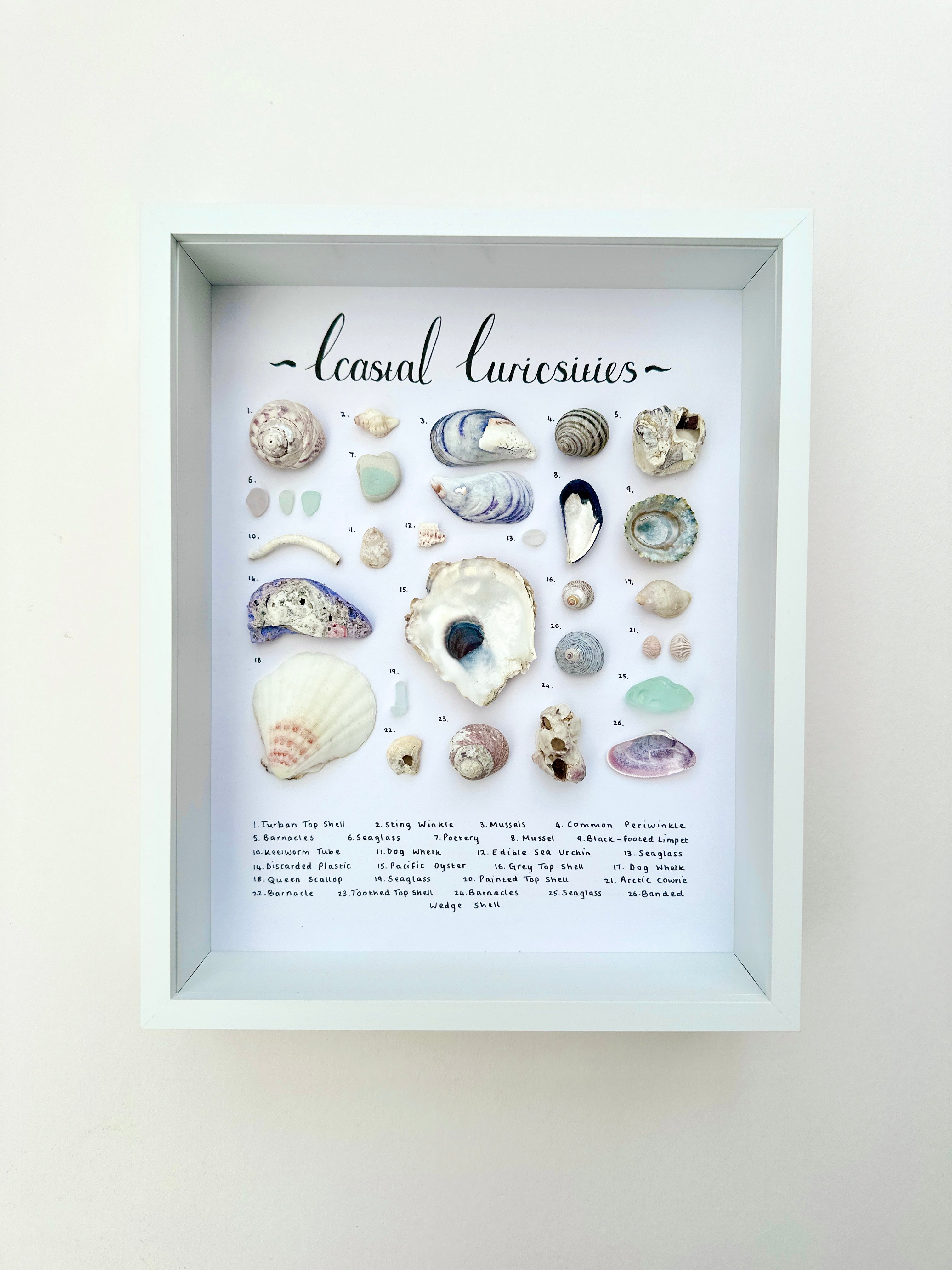 Medium Curiosity Frame – Sophie Wright Designs